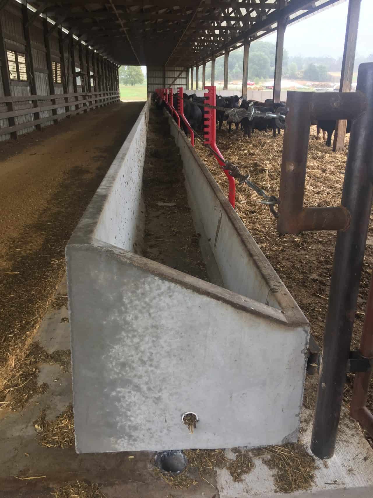 Rooney Farms Feed Bunk Addition | Project Profile | Wieser Concrete