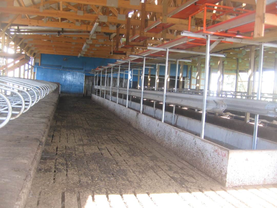 Precast Concrete Feed Bunks | Fenceline and H-Bunks | Wieser Concrete