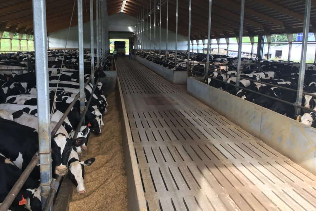 Manure Storage | Wieser Concrete