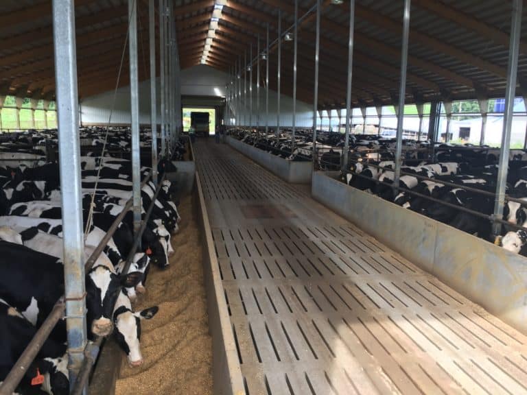 Wieser Concrete Product Guide | Precast Concrete Specialists